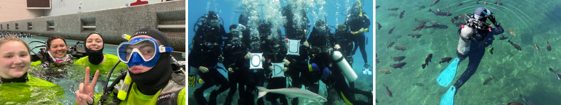 Programs > Office of Study Abroad